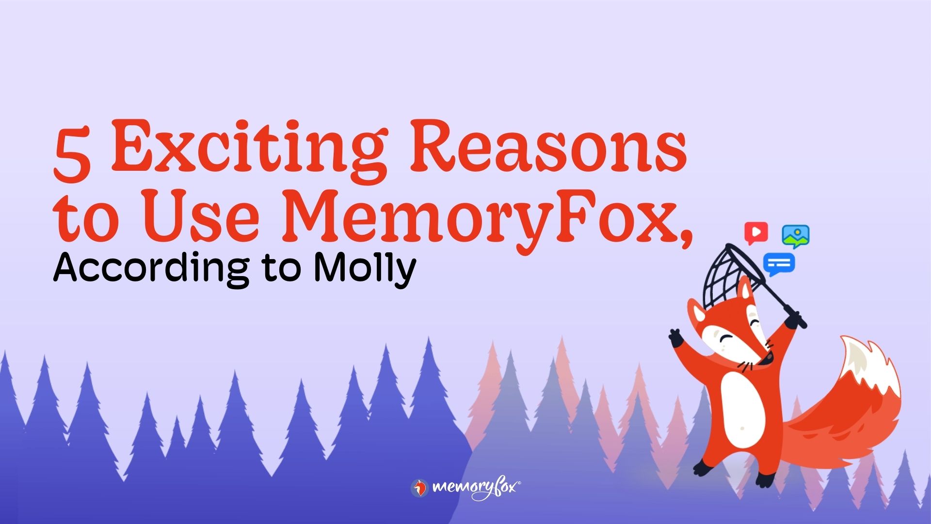 5 Exciting Reasons to Use MemoryFox, According to Molly - MemoryFox