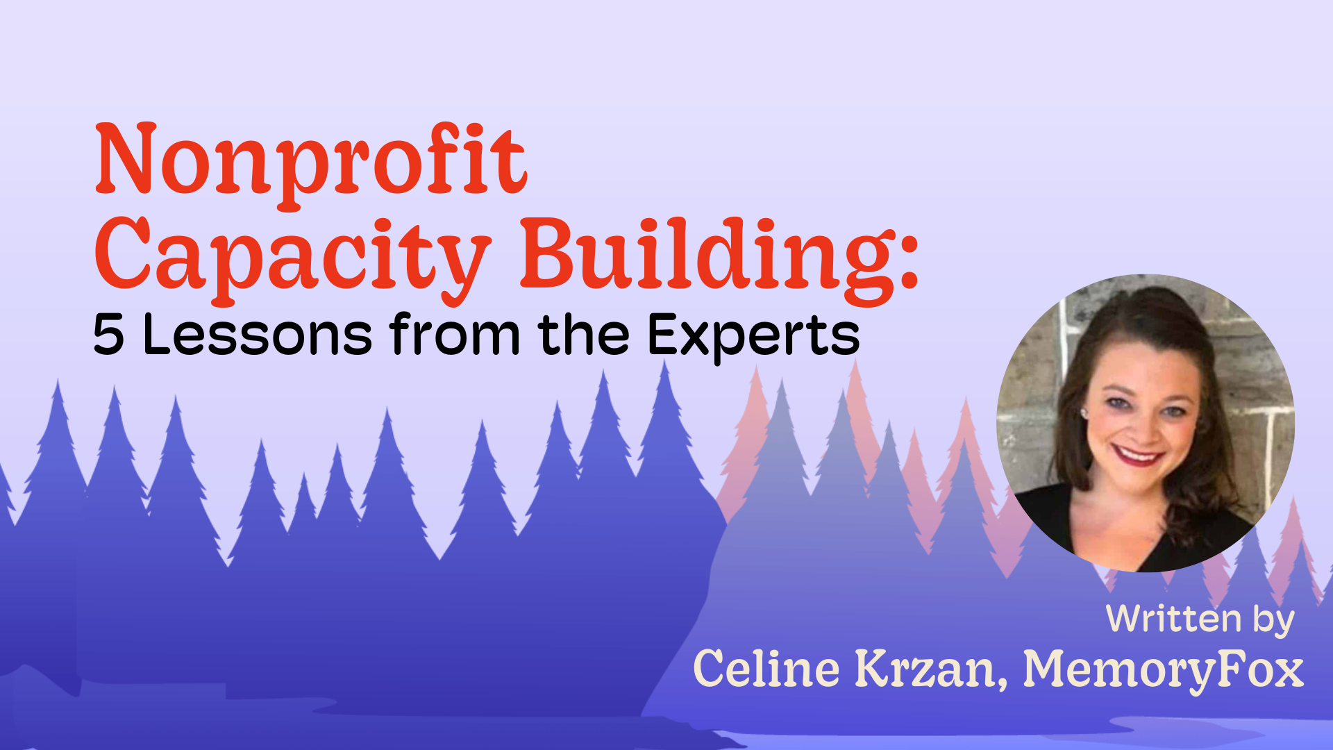 Nonprofit Capacity Building: 5 Lessons From The Experts