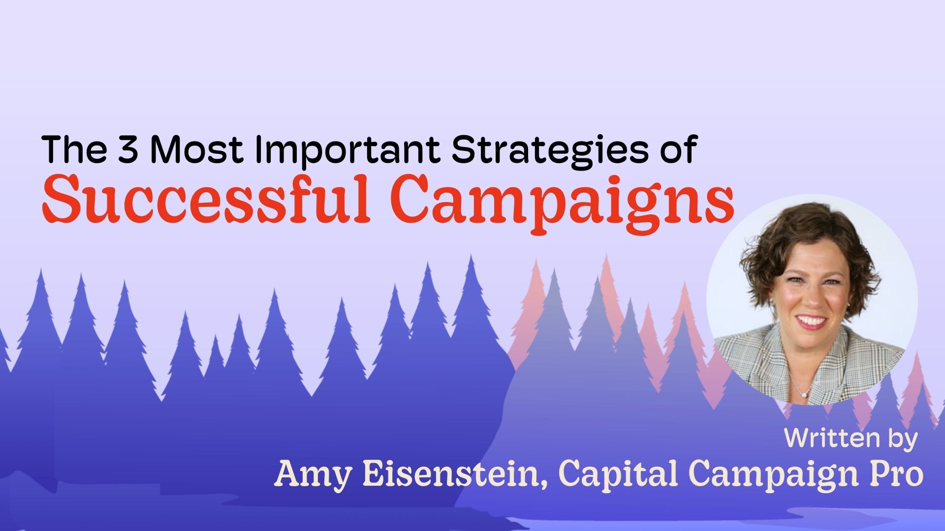 The 3 Most Important Strategies of Successful Campaigns - MemoryFox